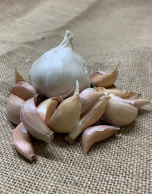 Hetty's Herbs & Plants » Wrendale Garden Kneeler